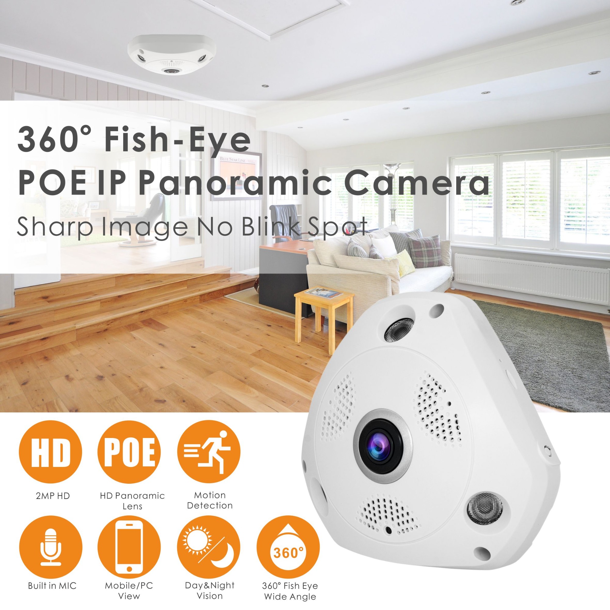 Fish Eye POE IP Microphone Audio Panorama Security Camera