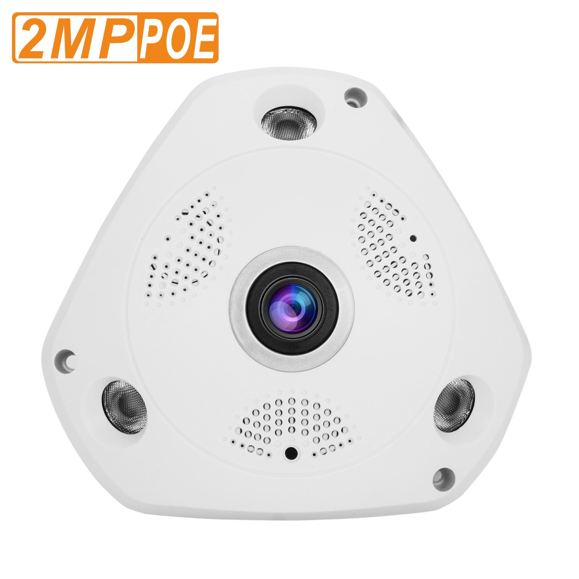 Fish Eye POE IP Microphone Audio Panorama Security Camera